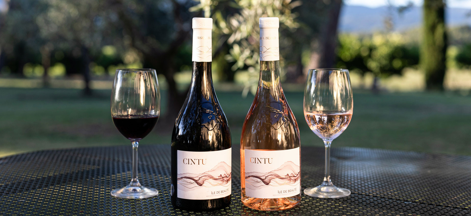 CINTU Corsica, vins corses | Savourez l'authenticité de l'île de Beauté