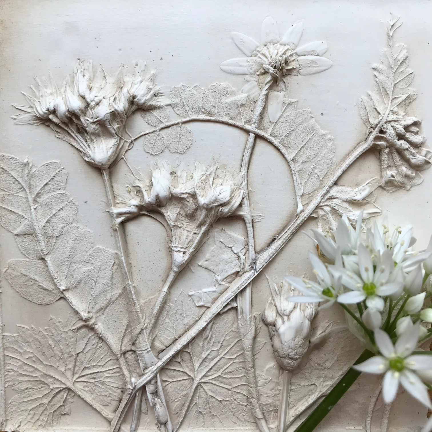 Botanical Plaster Casting 2nd May 2026, 10-2.30