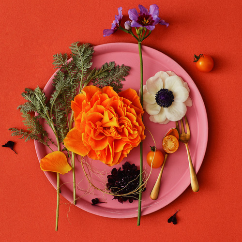 62178 dish-flowers#15 Frilled rose and Cherry tomatoes | PICTIFY