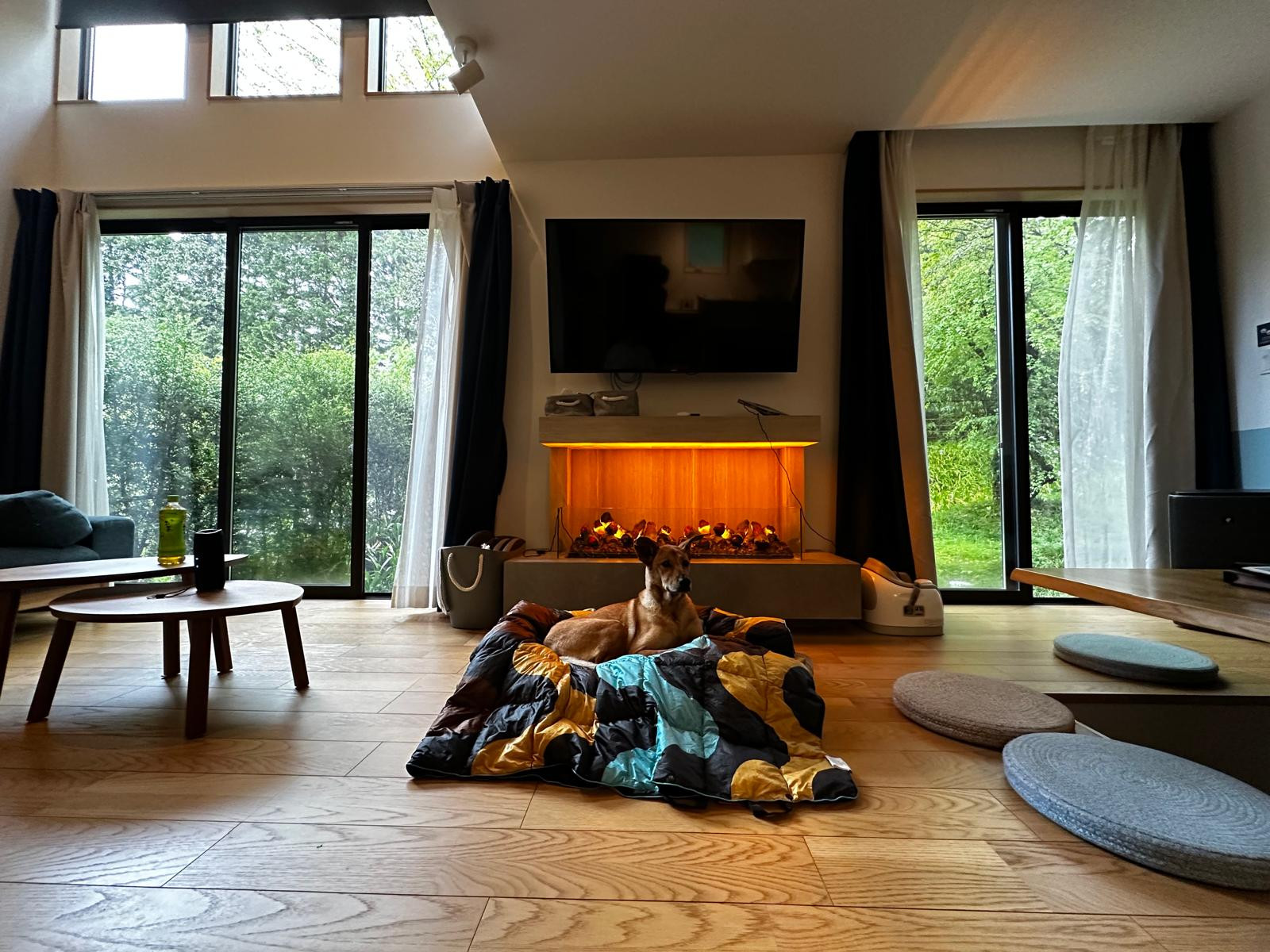 10 Dog-friendly Accommodations in Japan
