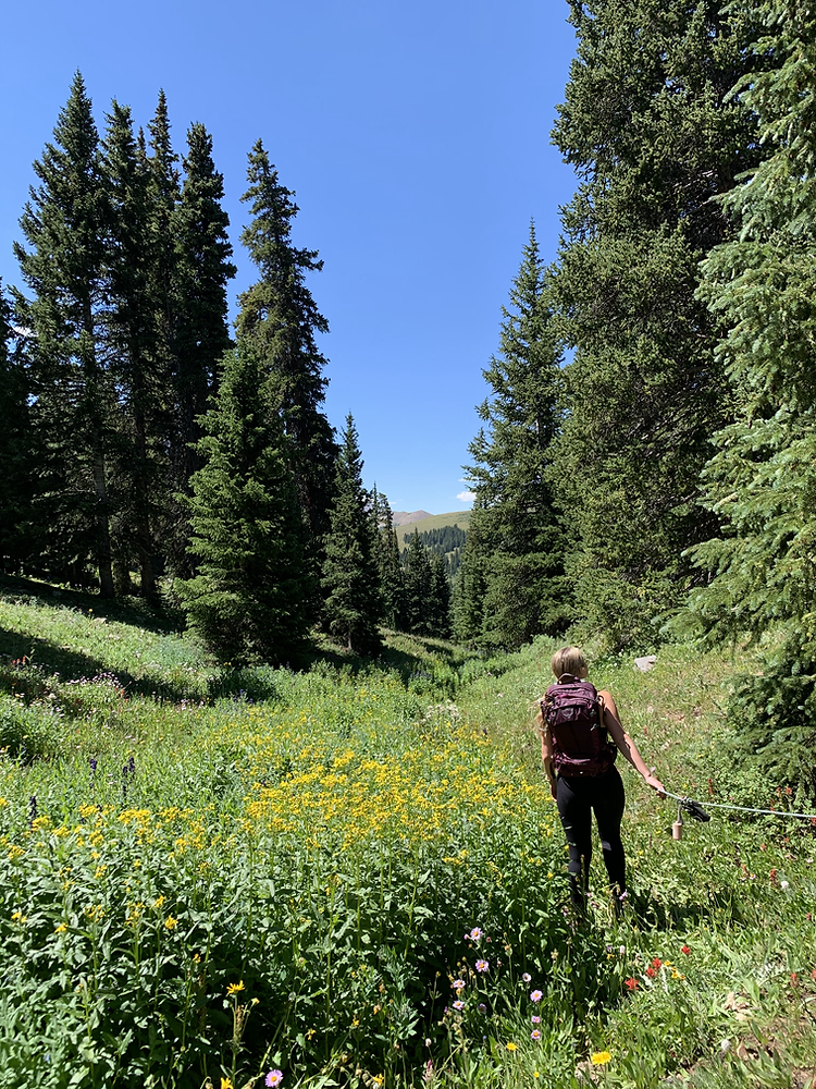 The 16 Best Summer Hikes Colorado