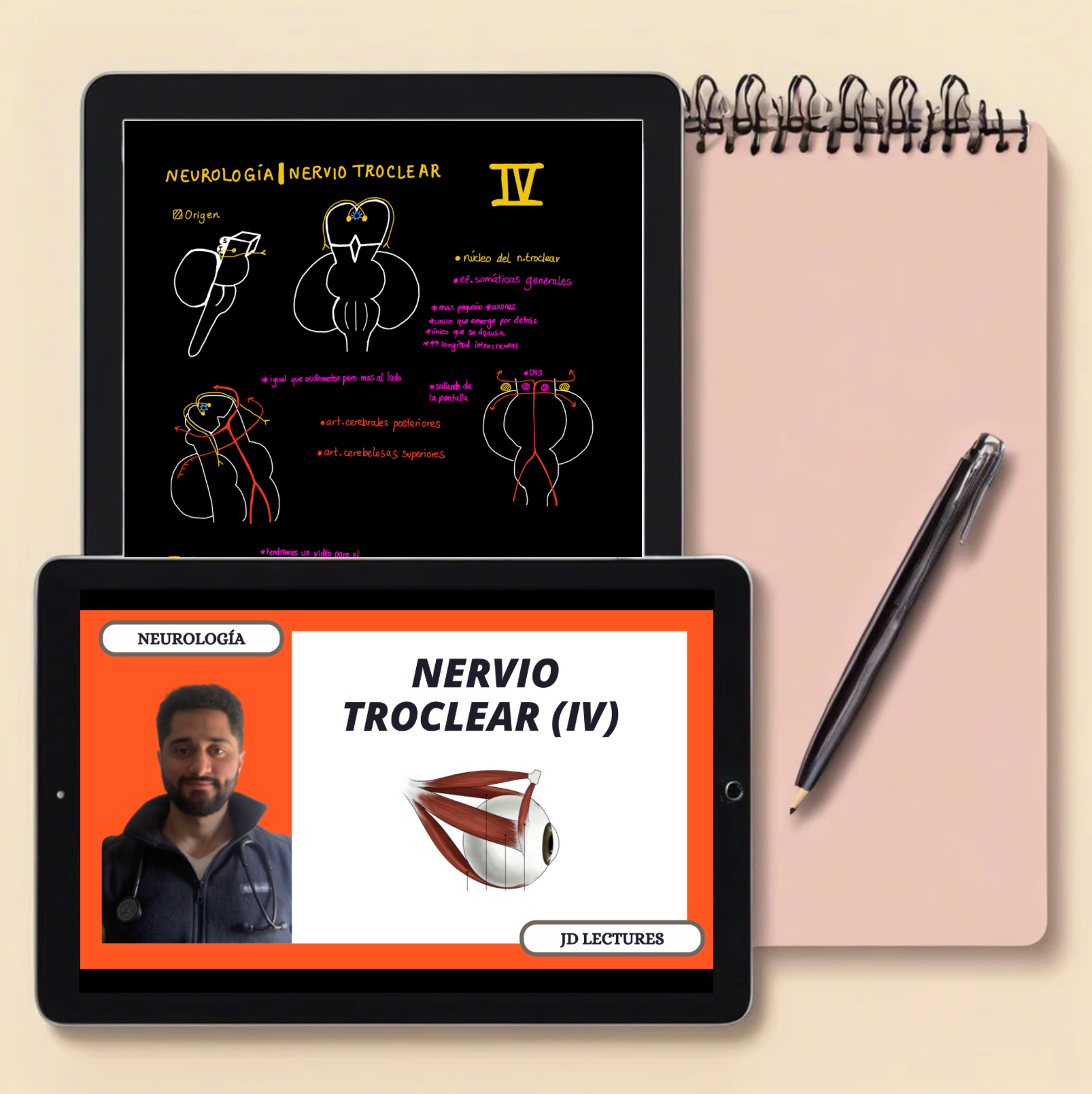 Anatomía del Nervio Troclear | Jd Lectures
