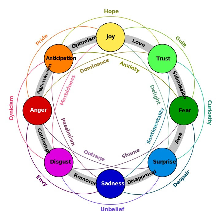 Learn the 7 Most Powerful Human Emotions and tips on how to manage them.