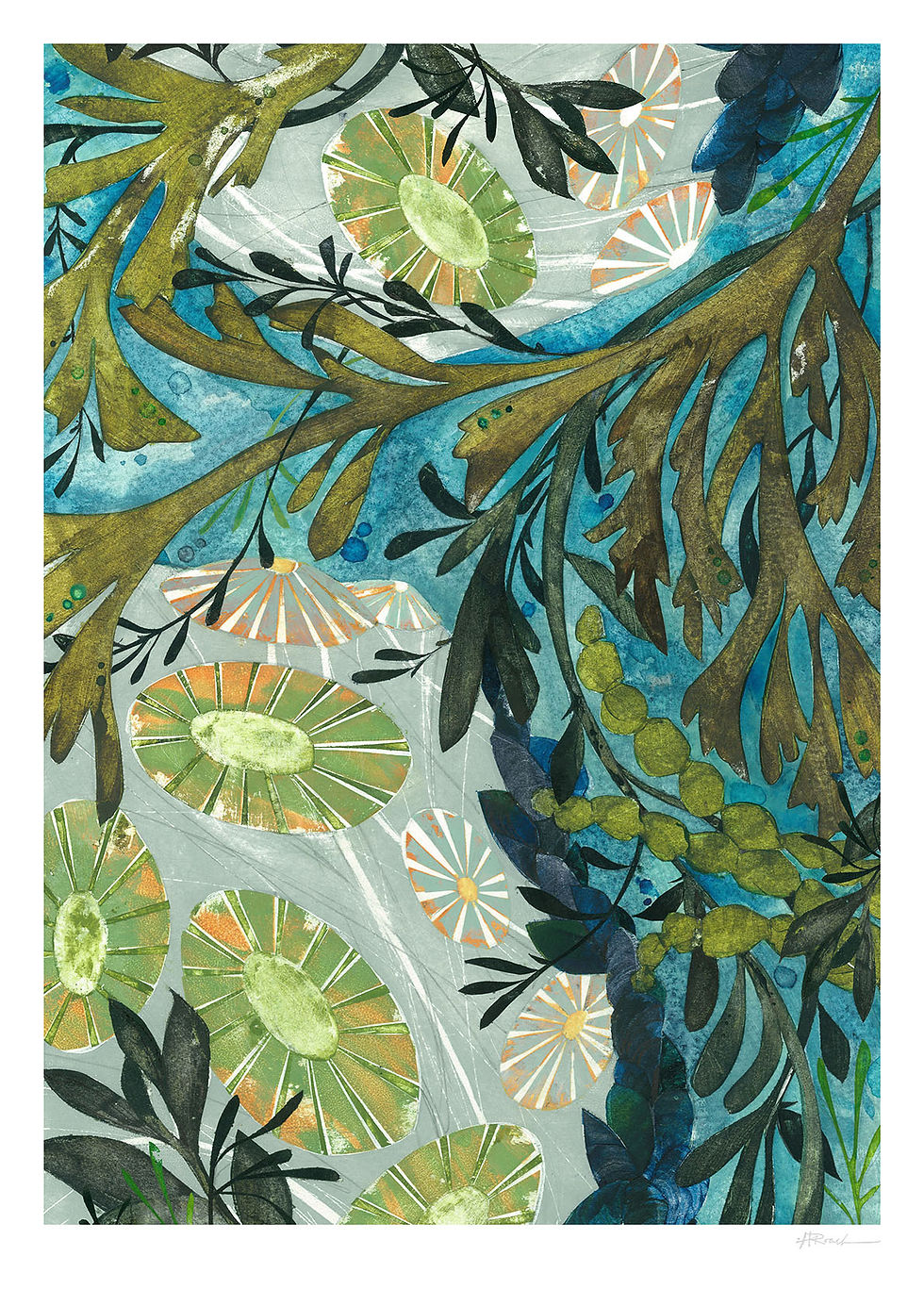 Rockpool | Holly Roach Art