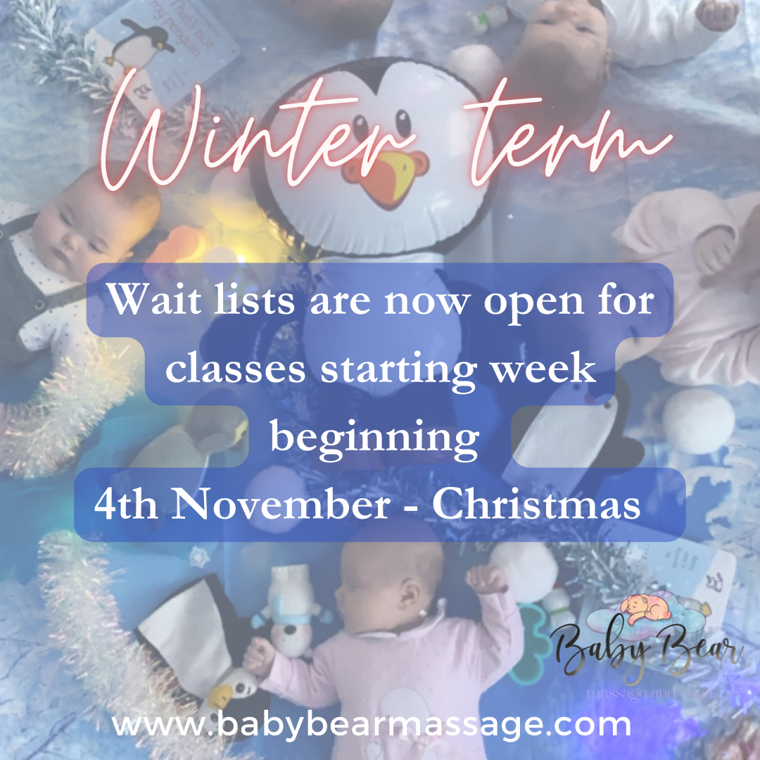 November - December wait lists | Baby Bear