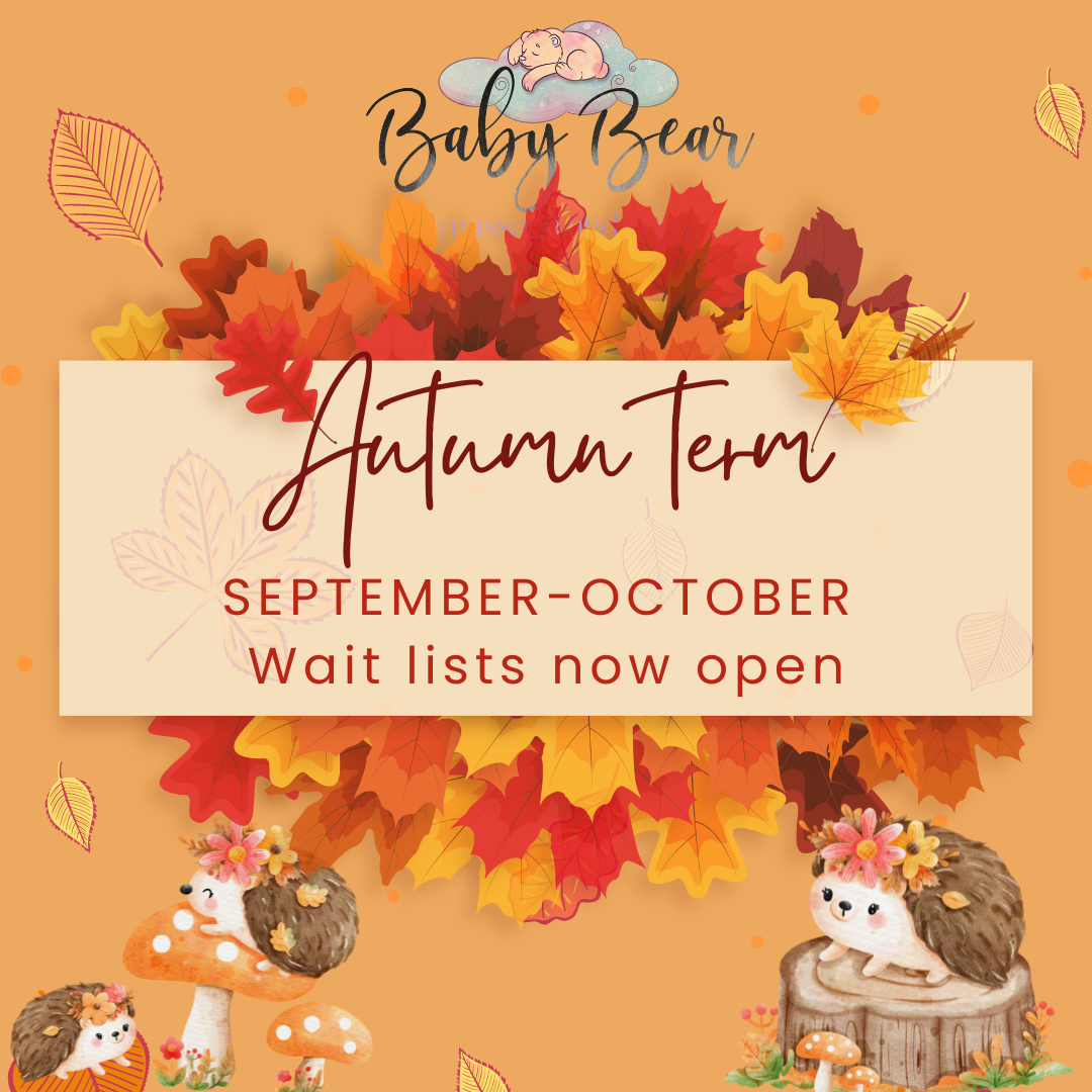 Wait list September - October classes | Baby Bear