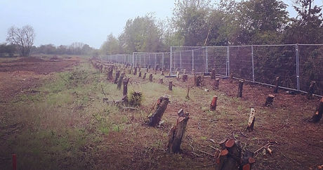 RWE Rural Services Ltd | Tree Surgery, Landscaping & Groundworks | Kent ...