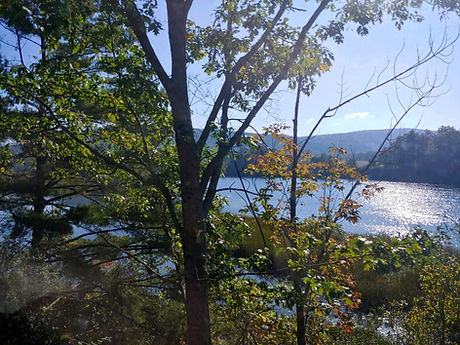 American Autumn Explorer | AAPRCO