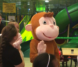 Gallery | Liverpool | Jungle Fun Soft Play