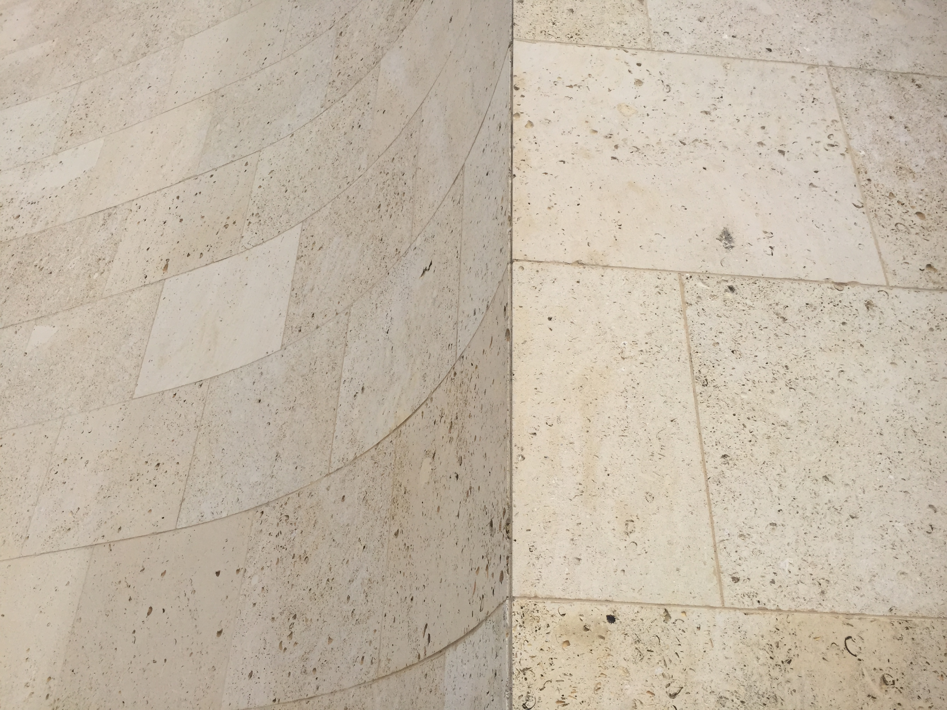 Texas Shellstone | Mezger Site 2019