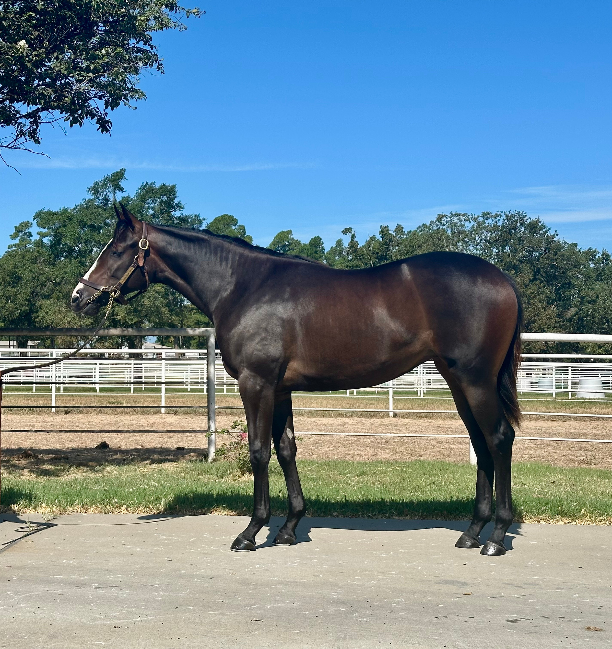 2024 HIP 96 | Highlander Training Center