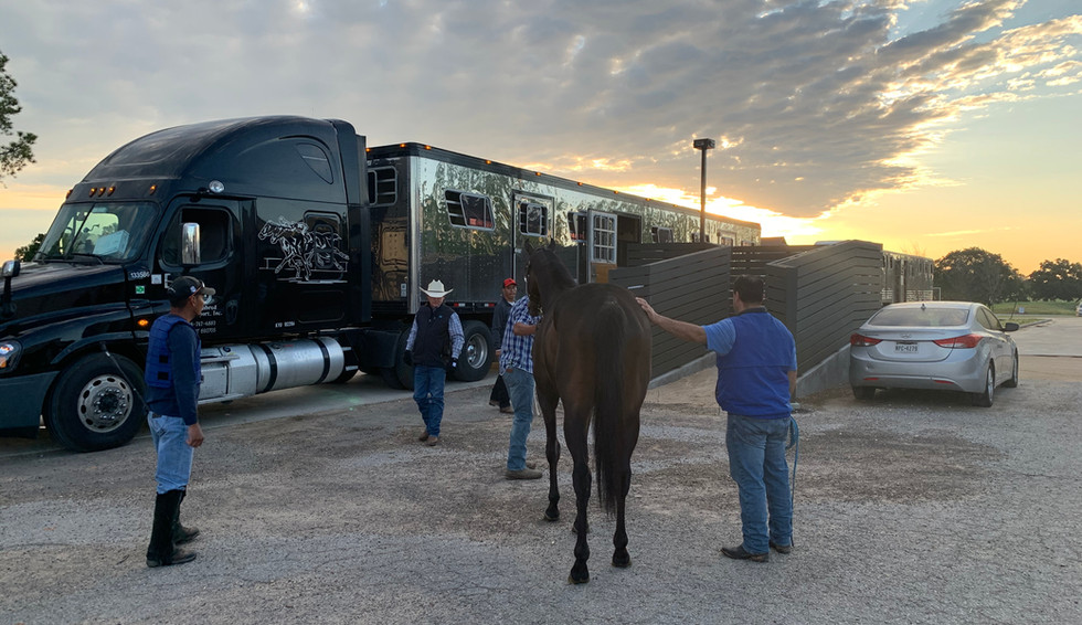 GALLERIES | Highlander