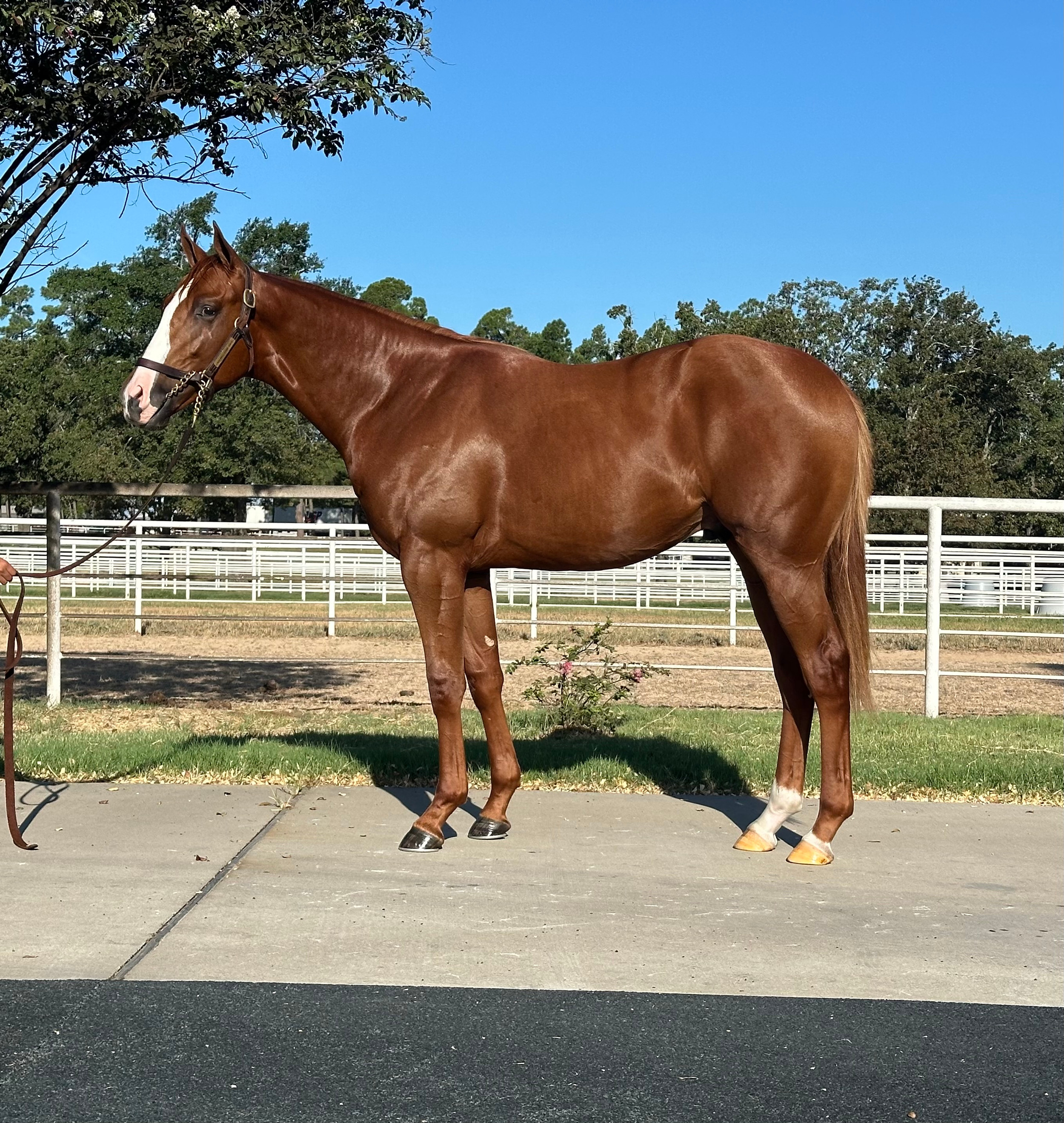 2023 HIP 202 | Highlander Training Center