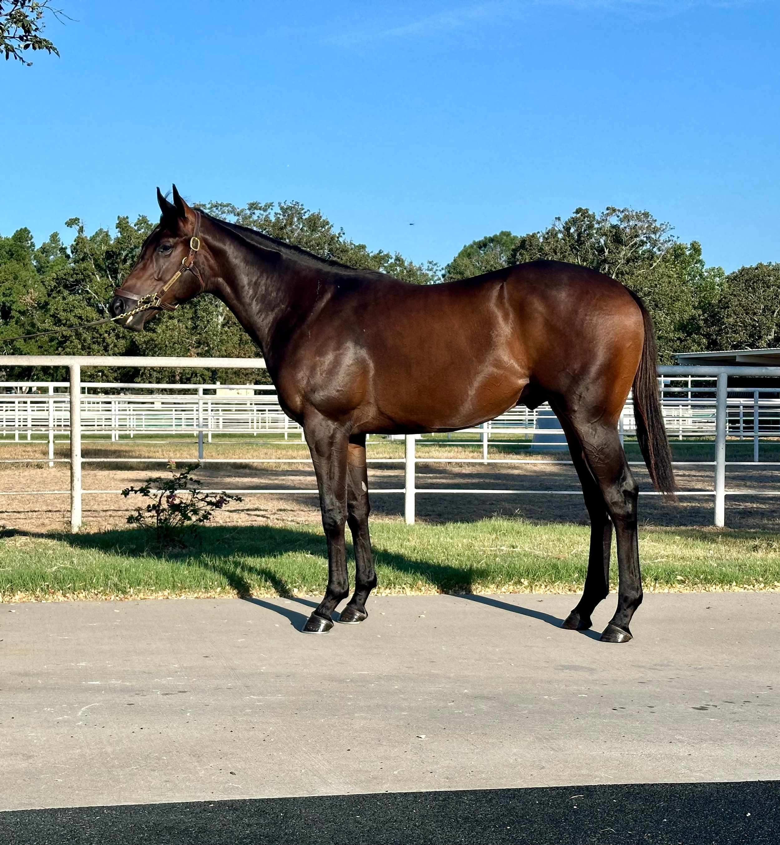 2024 HIP 146 | Highlander Training Center