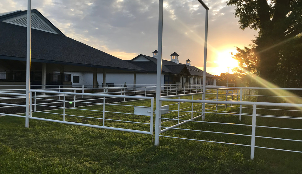 GALLERIES | Highlander