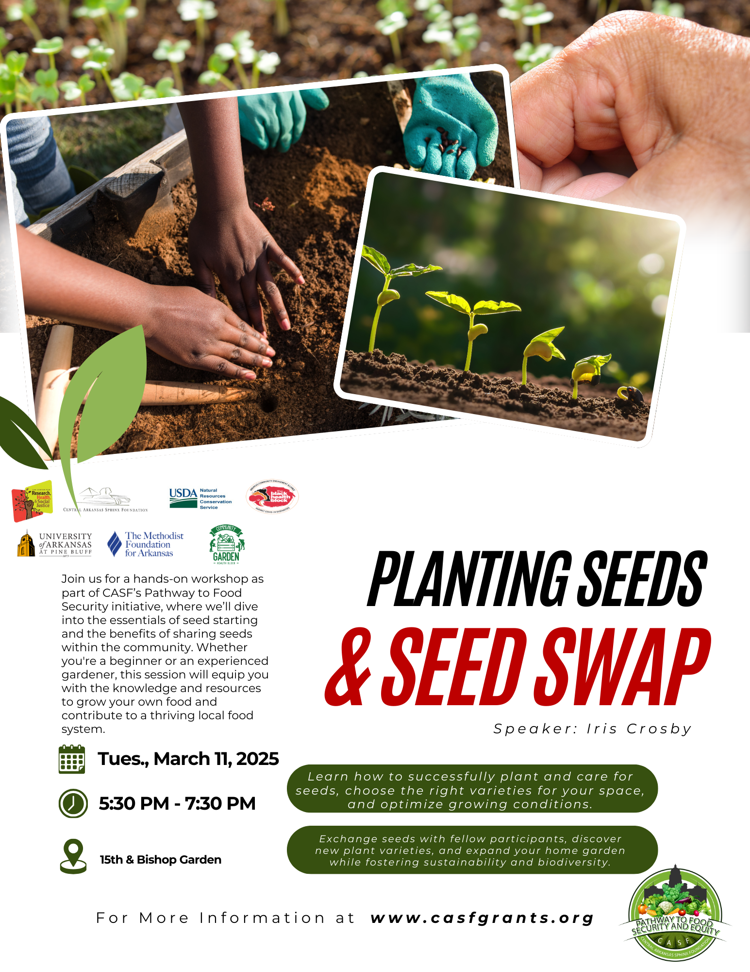 Planting Seeds and Seed Swap | Pathway2FoodSecurity