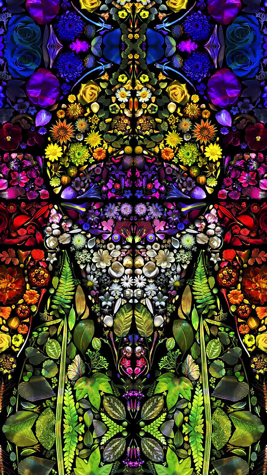 Geomagical Botanica | marzia