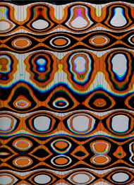 Workshop | marzia | scanner photography | experimental art