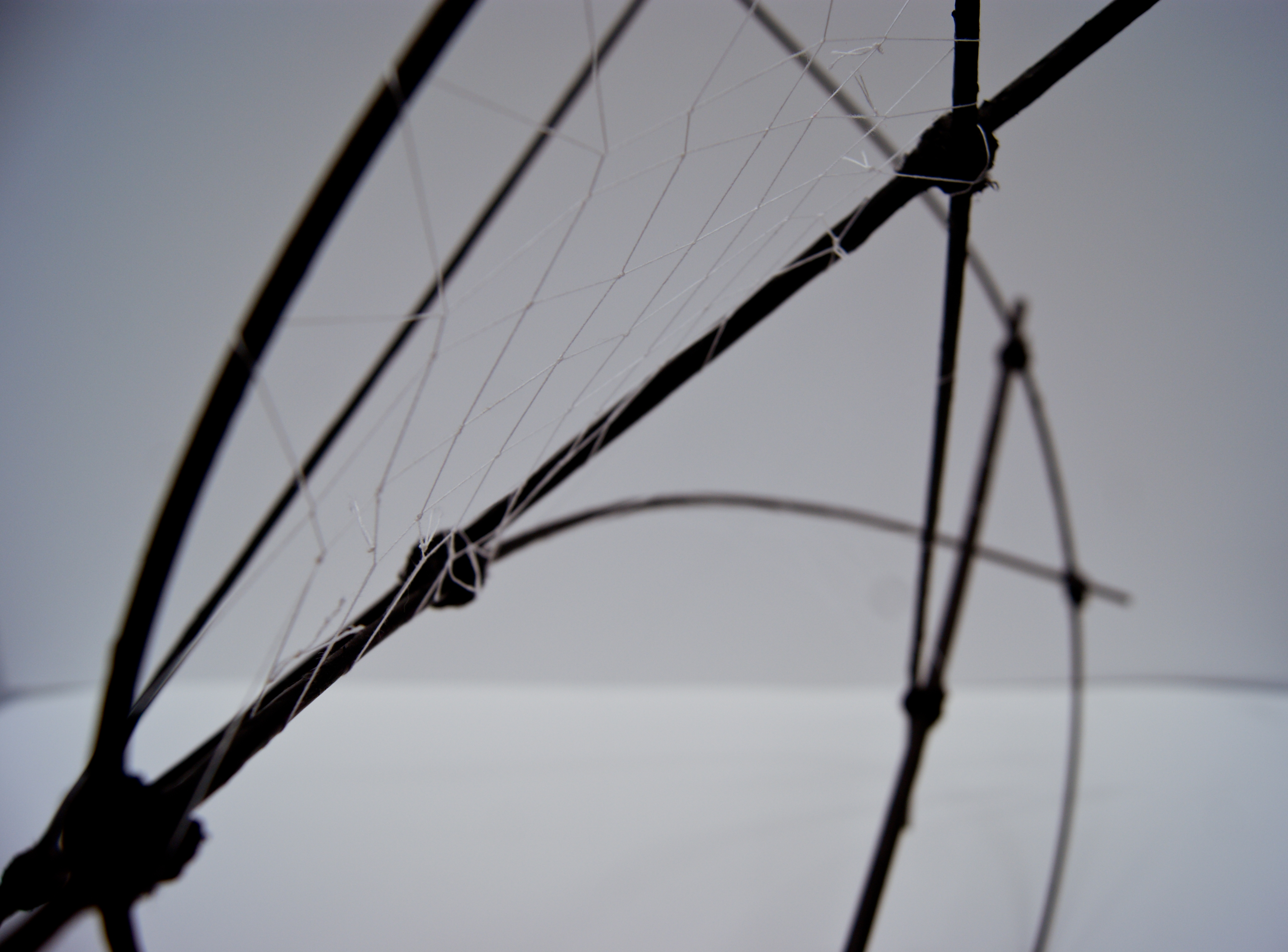 Malia Reeves - Artist, Painter, Photographer