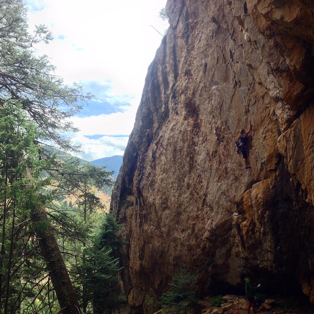 Malia Reeves - Artist, Painter, Photographer