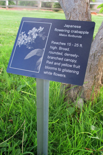 Large Engraved Botanical Sign | orion-garden-marker