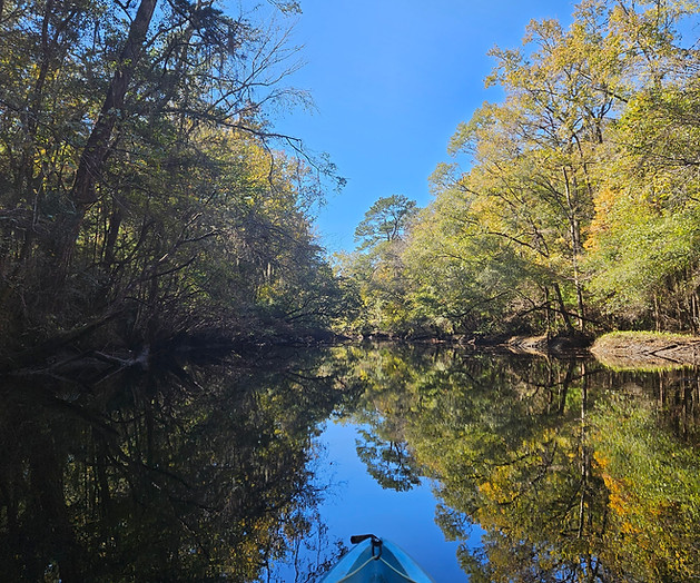 Charleston Kayak | Swamp Kayak Tours, Firefly Tours, E-Bike tours