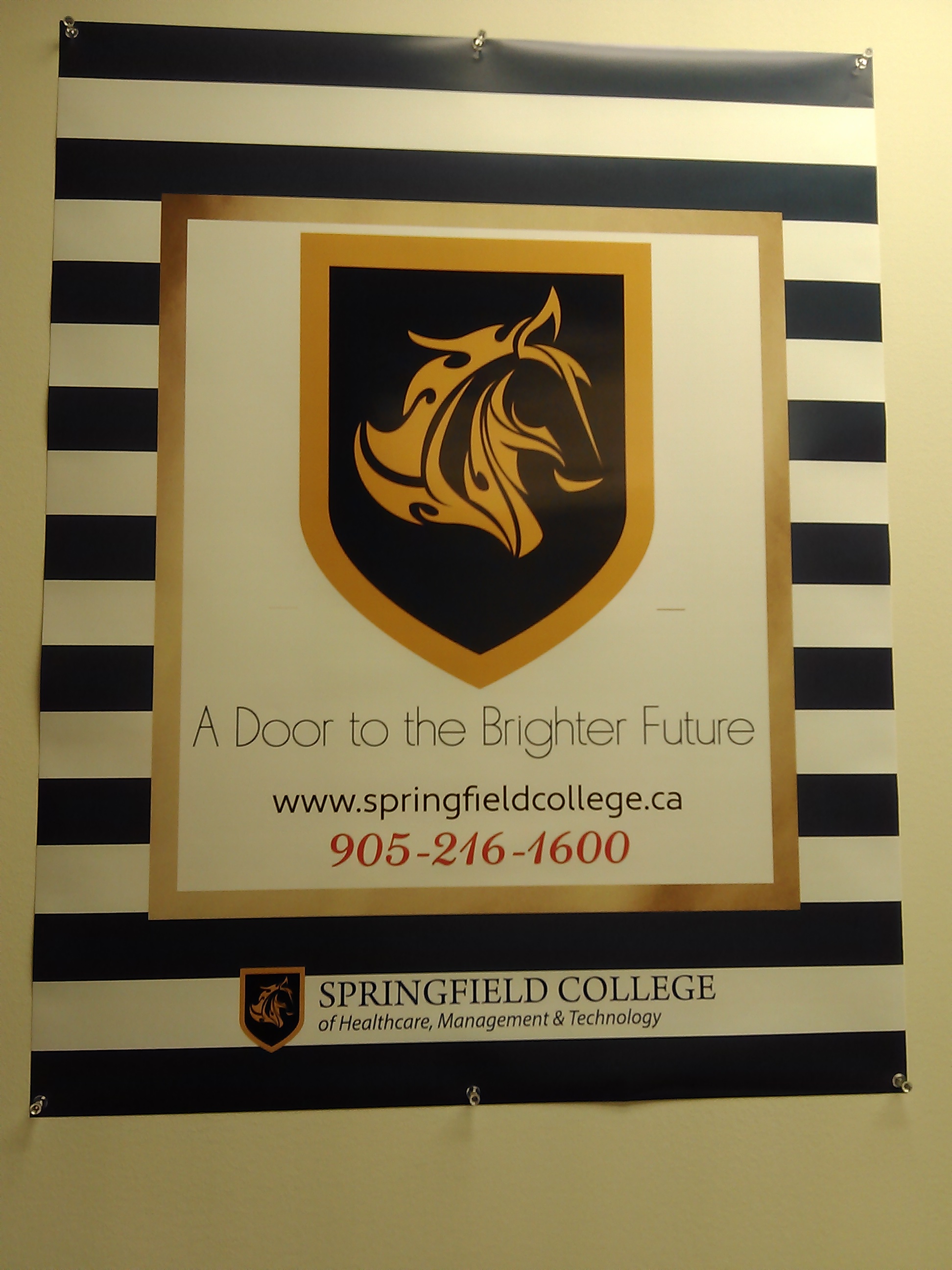 Springfield College-Brampton Photo Gallery | Diploma Certificate Prog