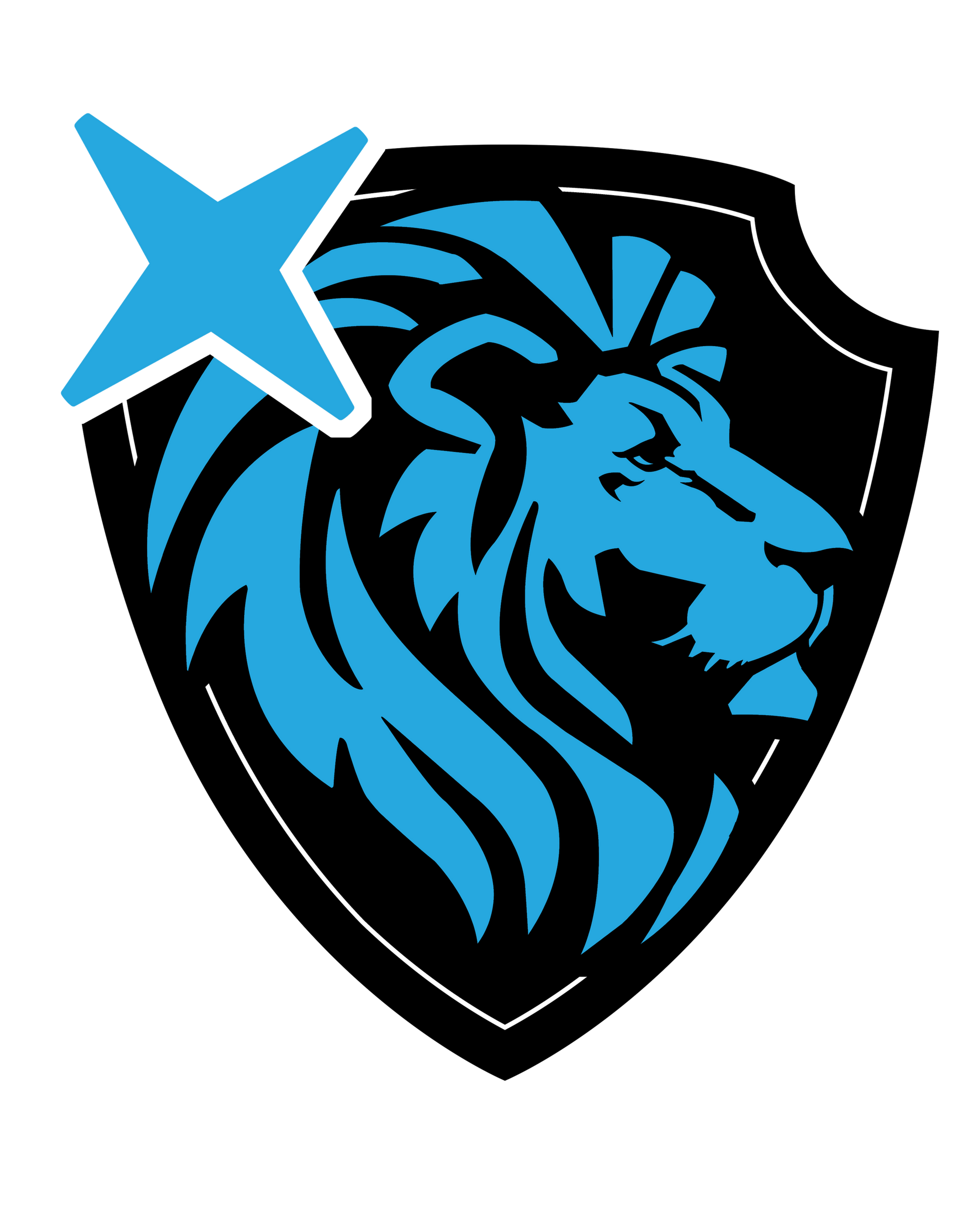 Automotive ECO288 | Clean Armor