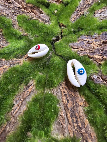 Evil Eye Cowrie Shell | Rockcollage