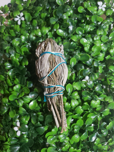 Rosemary Mini Sage Rockcollage