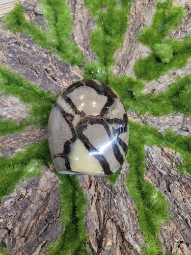 Septarian Nodule / Dragon Stone Free form | Rockcollage