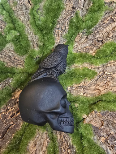Shungite Skull with Owl | Rockcollage