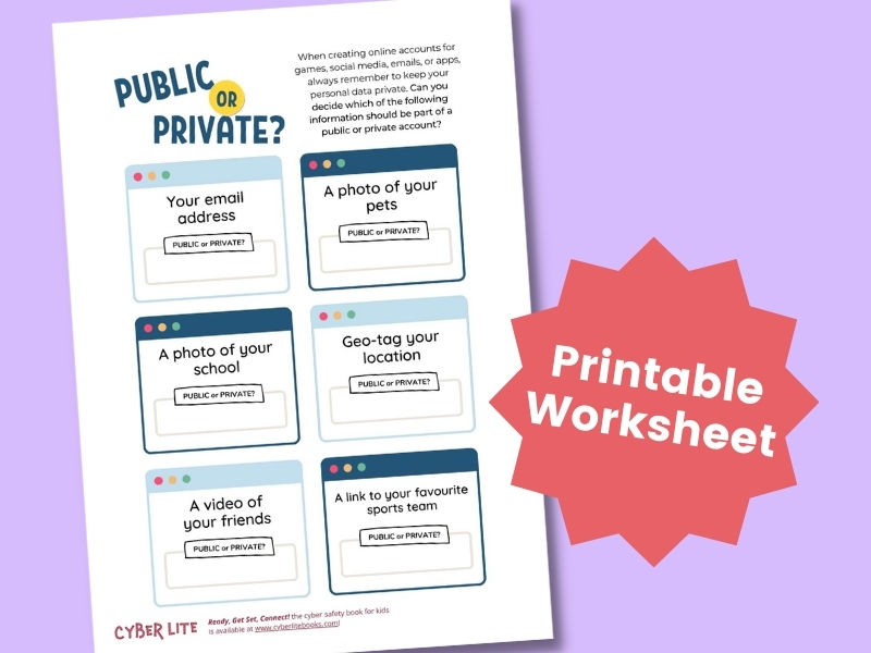 Public or Private? (Printable Worksheet)