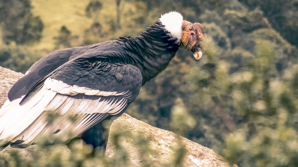 Three weeks Colombia: the ultimate travel route and itinerary