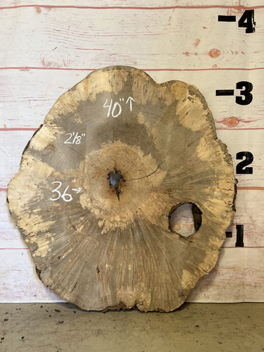 Maple Cross Section | aspen-woodshop