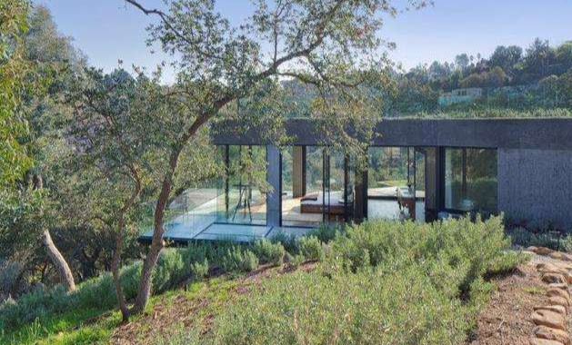 Landscape Design in Beverly Hills, CA | Isabel Moritz Designs