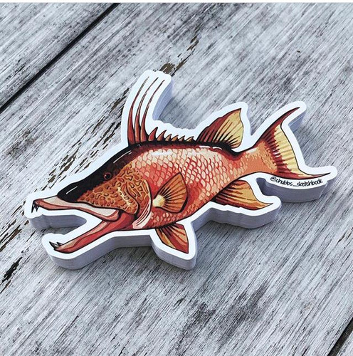 Hog Fish - Chubbs Sketchbook Sticker | Taste of Isla