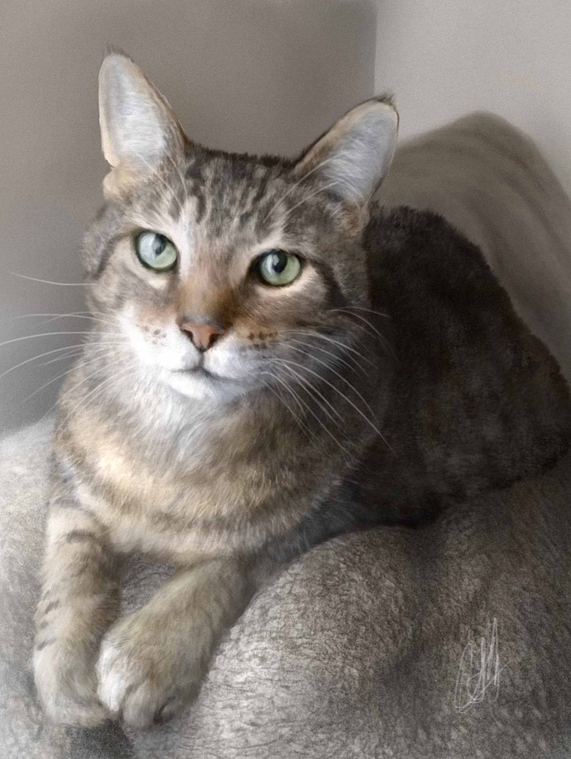 Illustration | Art of Chris Scalf