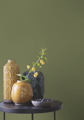 Verde Yerba Con Textura | Aguerrebere