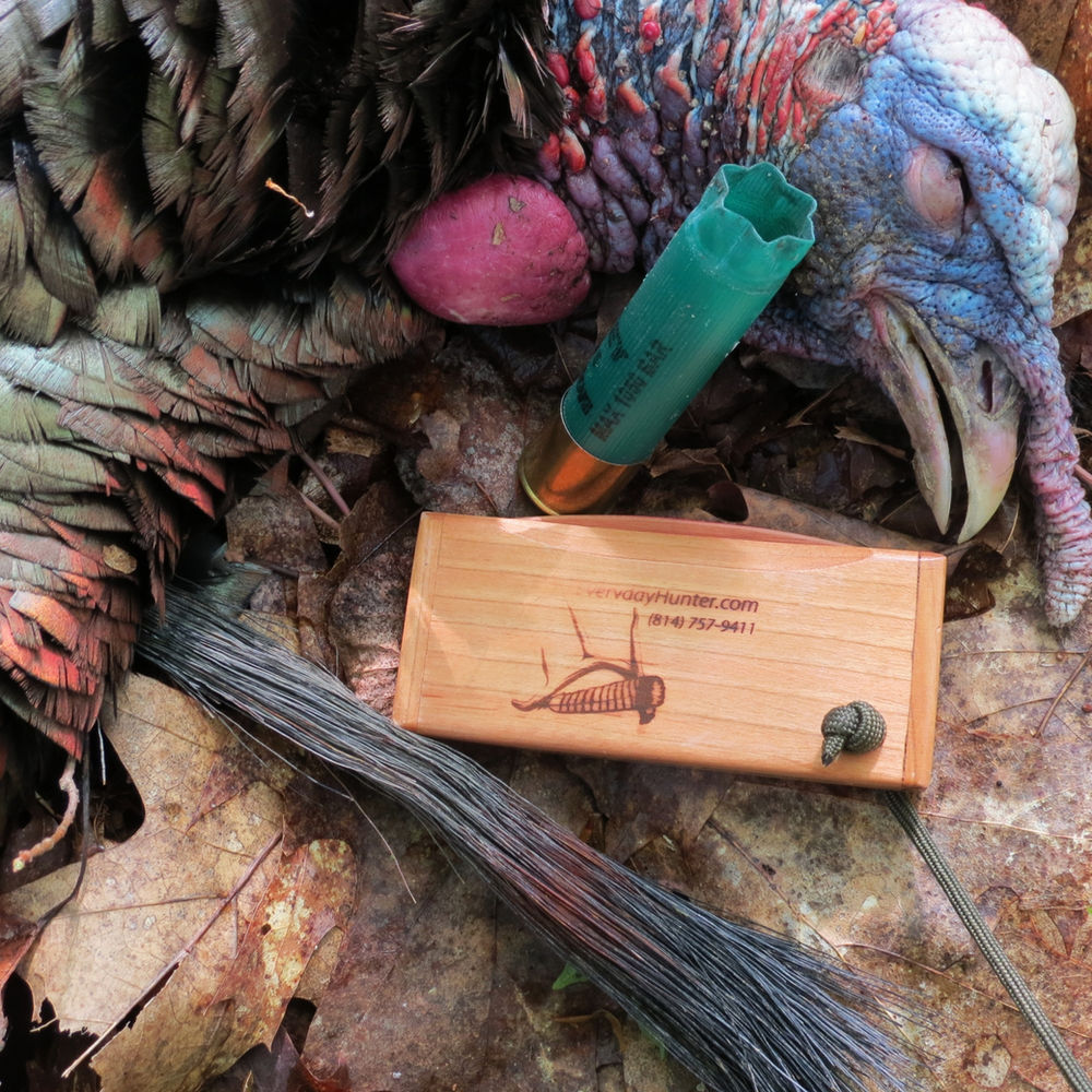 Tips on Turkey Hunting — #13: FINDING ROOST SITES