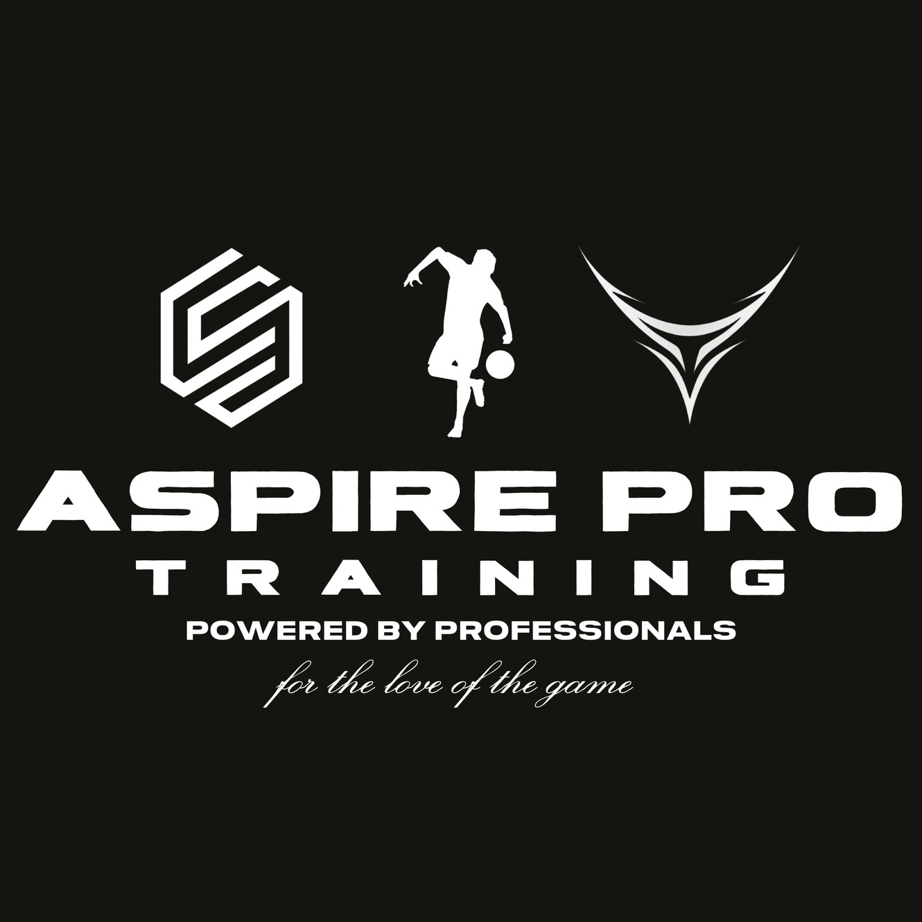 Online Academy | aspireprotraining
