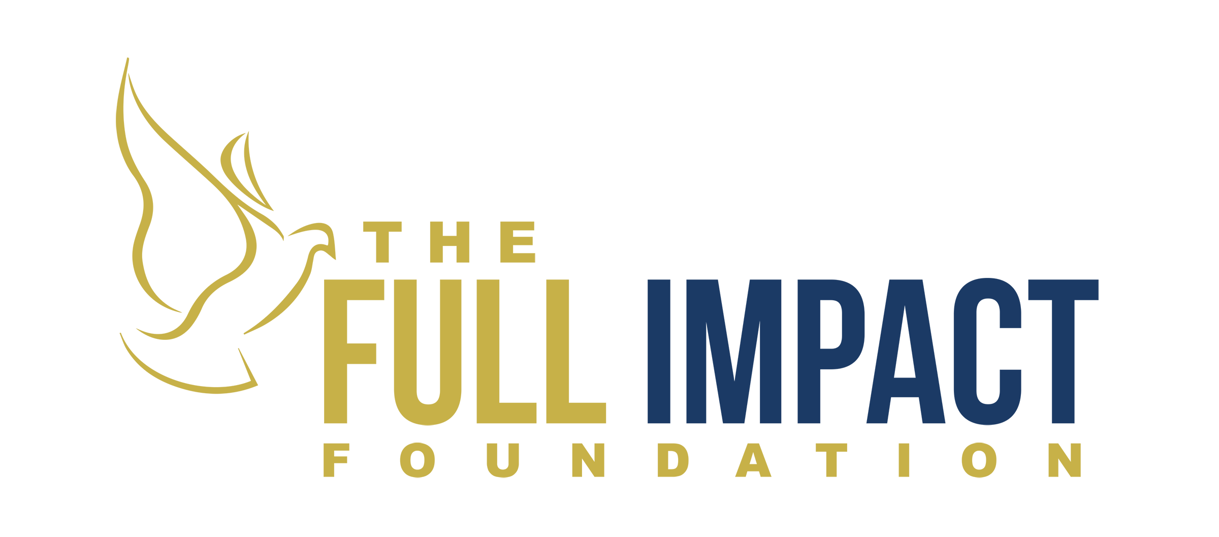 MEET THE BOARD | fullimpactfoundation