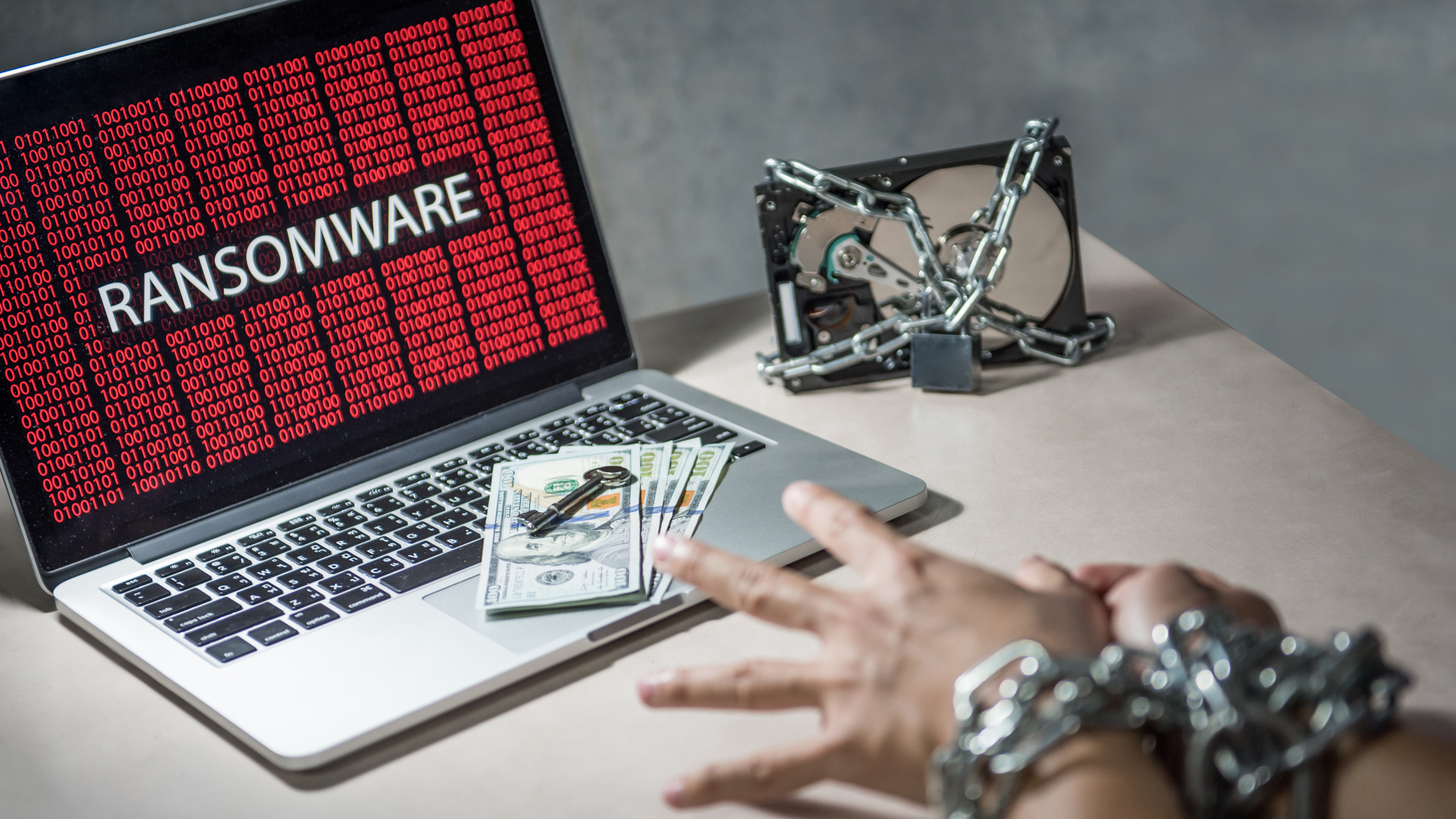 Ransomware Resilience: How to Build a Robust Defense Against Digital ...