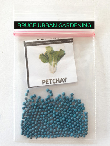 PECHAY SEED | BRUCE URBAN GARDENING