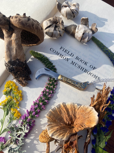 Tiny Foraging Knife Necklace | Brass Botanica