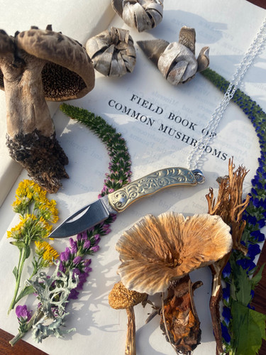 Tiny Foraging Knife Necklace | Brass Botanica