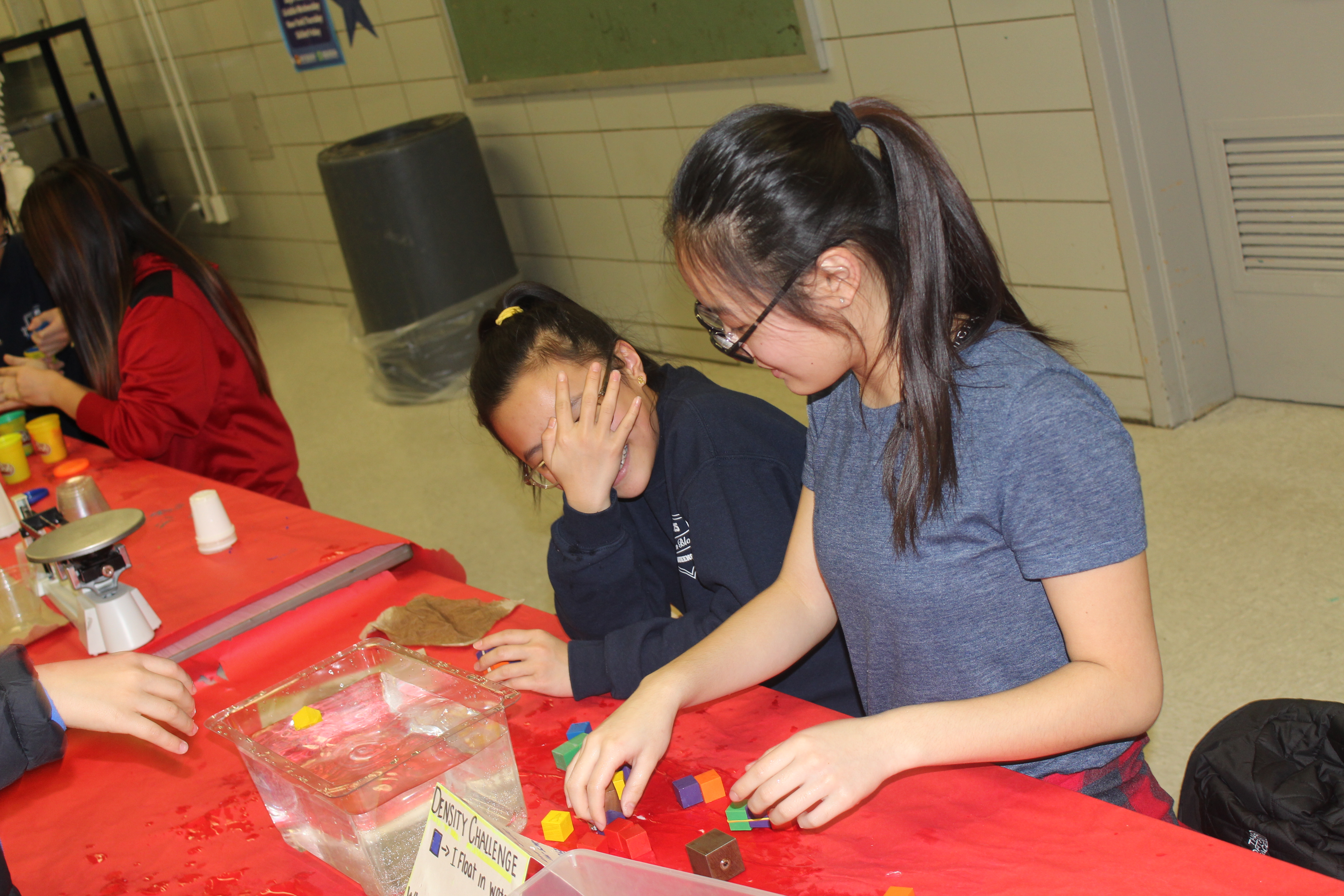 PHOTO GALLERY | adrienblockis25