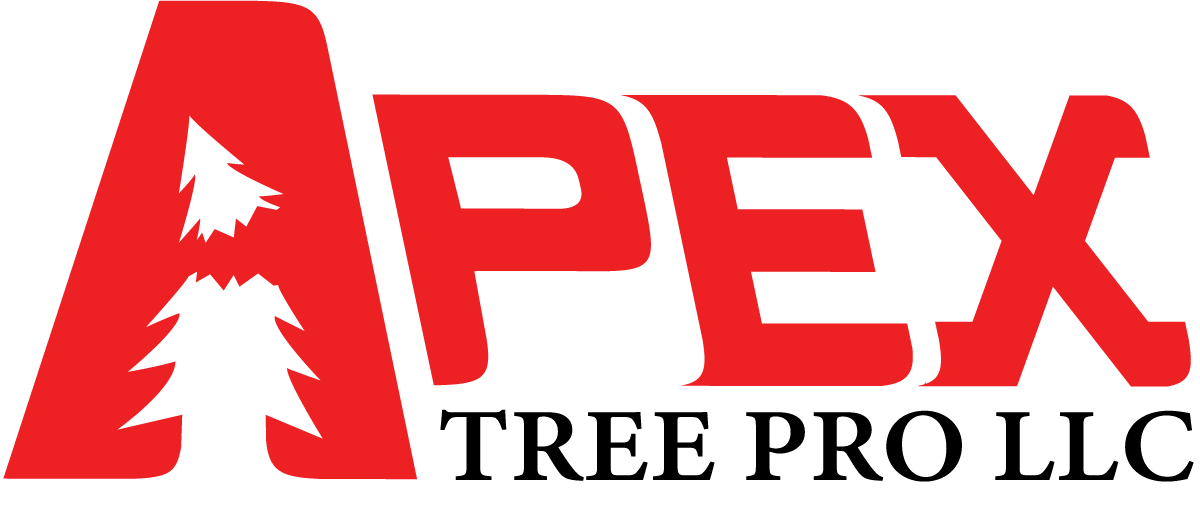 Projects | Apex Tree Pro