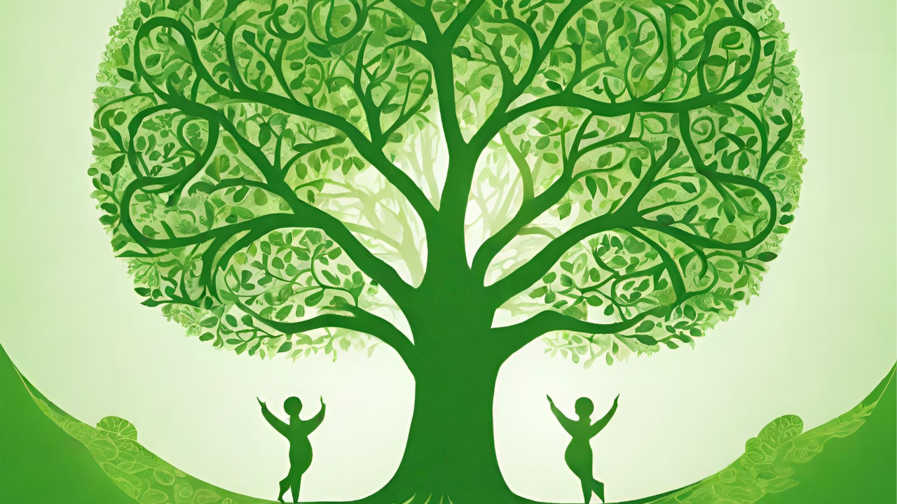 All Mindfulness Meditations | Jon Binnie