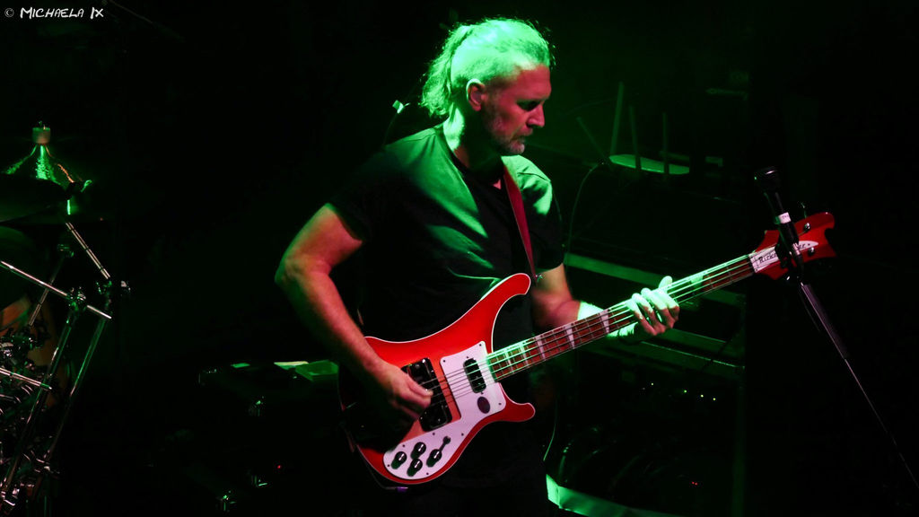 Jonas Reingold - Official Website